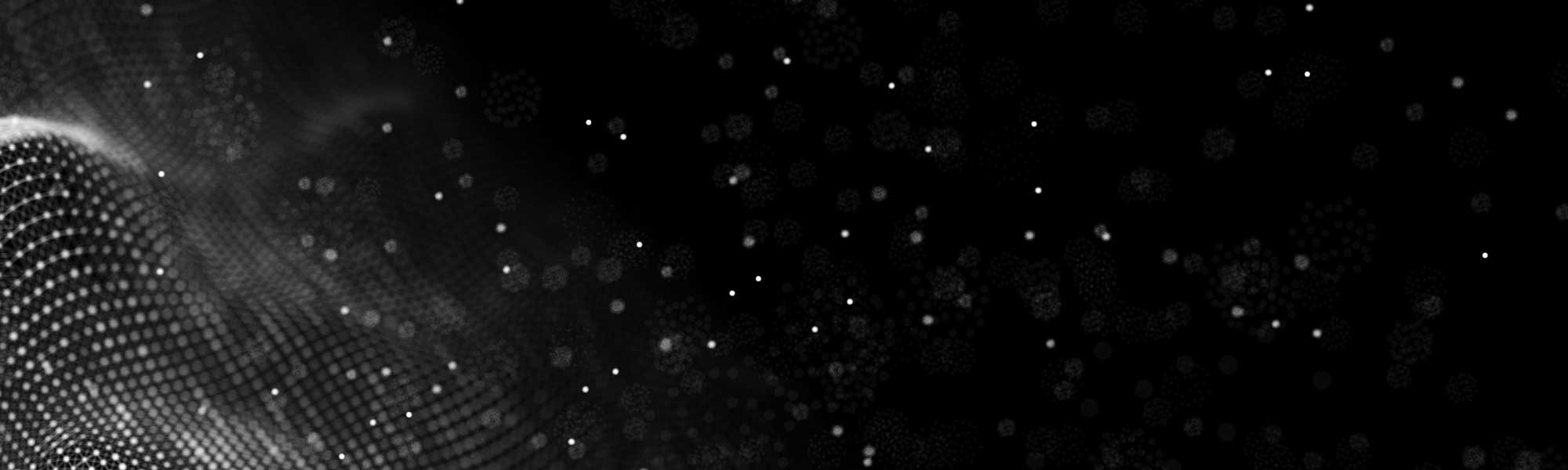 Ballot Scout Enhanced Voting